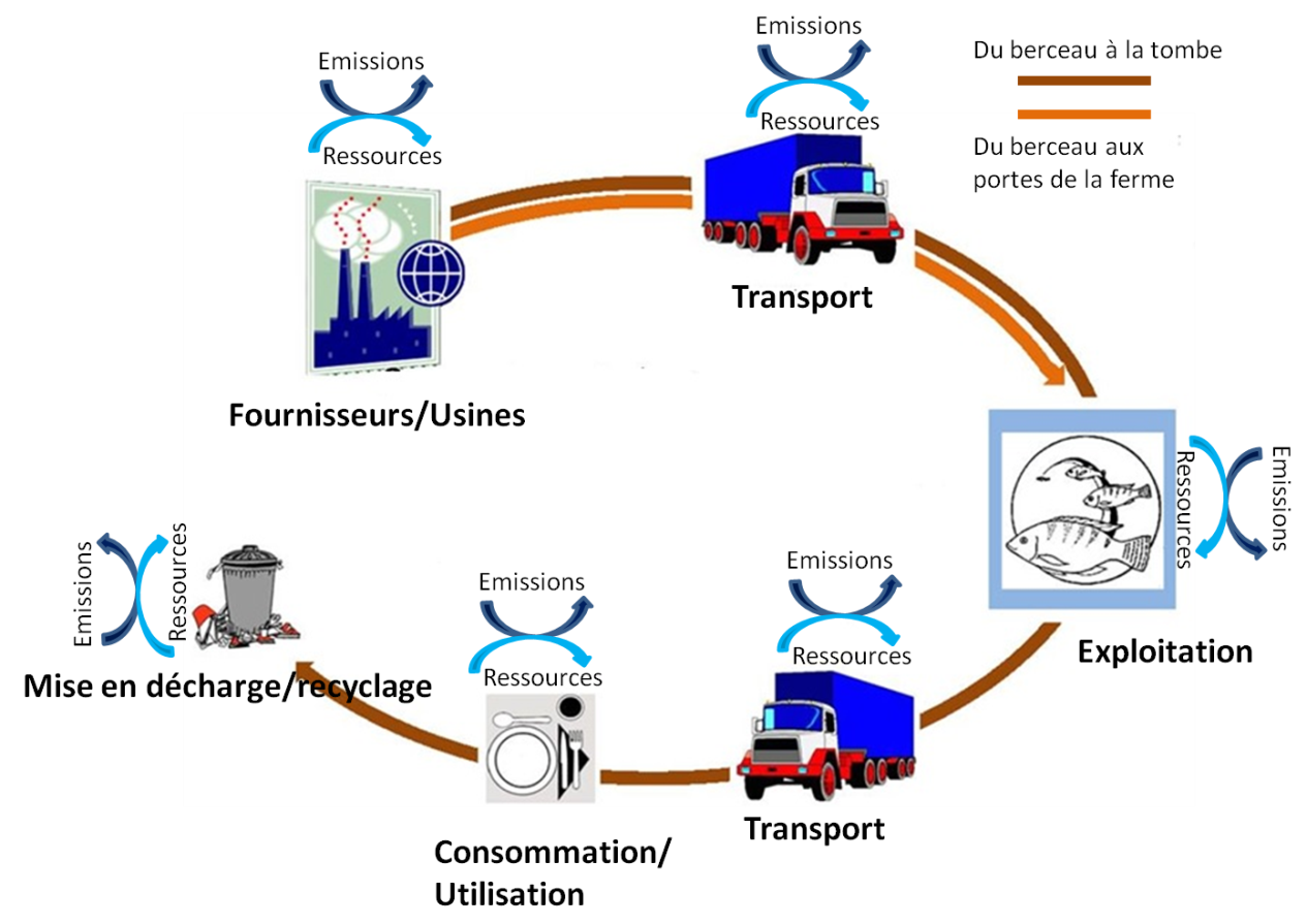 SEPURE - Les ACV et Emergy